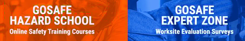 Medsafe is now goSafe