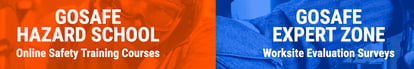 Medsafe is now goSafe